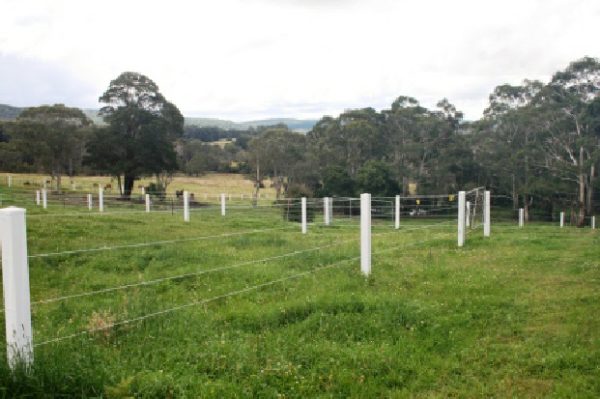 Let’s Go through A Guide to Agricultural Fencing
